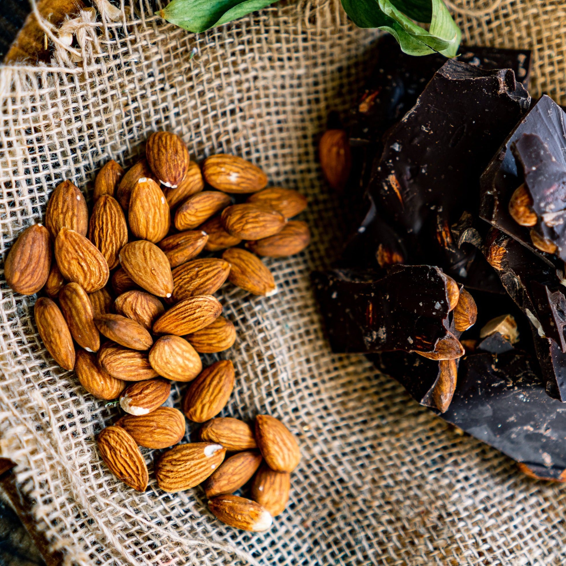 Chocolate sin azúcar – farinata