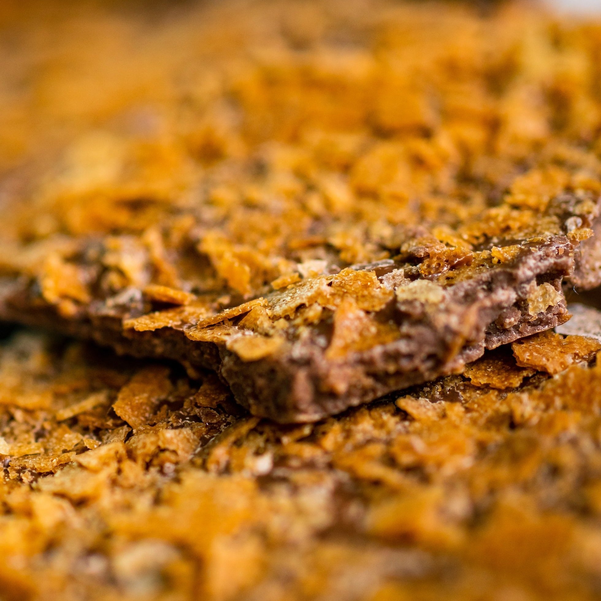 Farinata || Artisan chocolates – farinata
